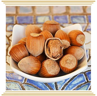 HALLS GIANT hazelnut fruit seedling - FRUTI KOMERC